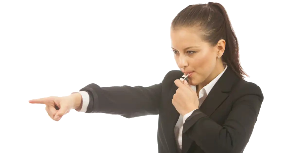 Whistleblower; your optimal guide to EU directive - ANON::form